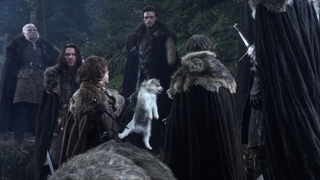 Stark´s find the Direwolf Pups | Game of Thrones Series