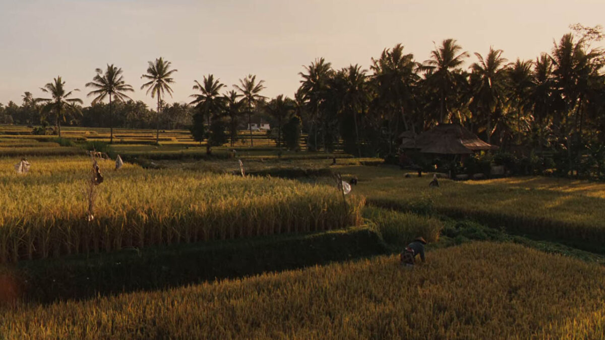 Eat Pray Love | Filming Locations Guide